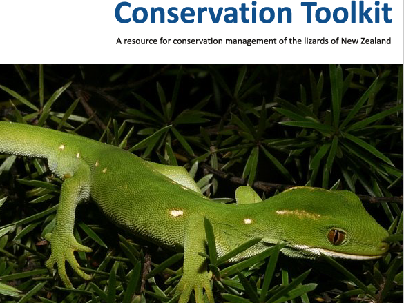 SRARNZ Lizard Conservation Toolkit | SRARNZ – herpetological research ...