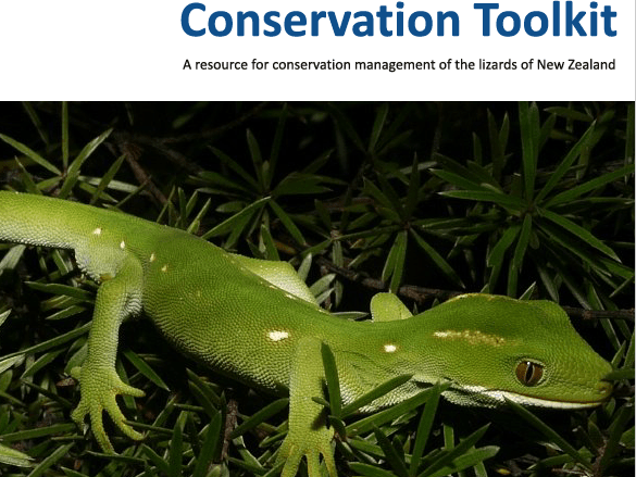 SRARNZ Lizard Conservation Toolkit | SRARNZ – herpetological research ...